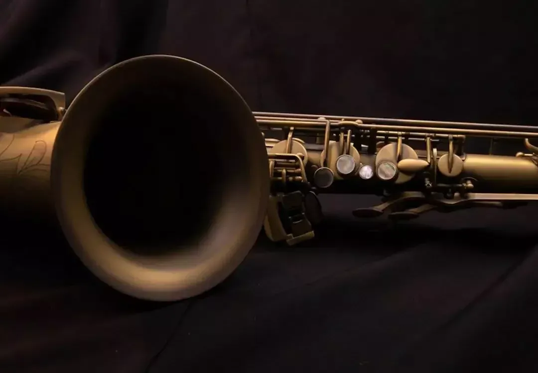 Home - ProsaxRepairs